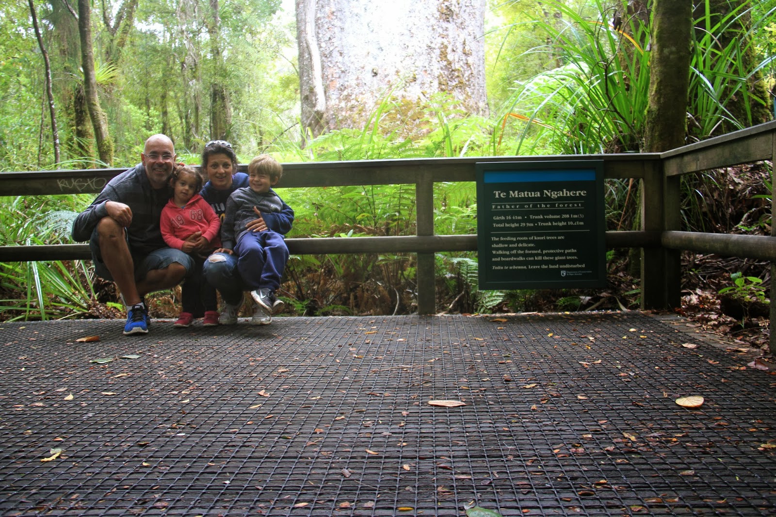 Weltreise 2014: Tane Mahuta & Te Matua Ngahere, 3rd of March 2014