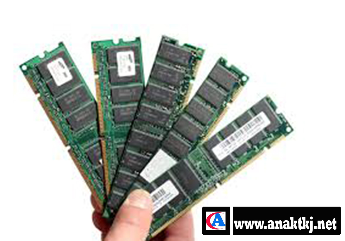 Macam-Macam Hardware (Perangkat Keras) Komputer Beserta Fungsinya ...