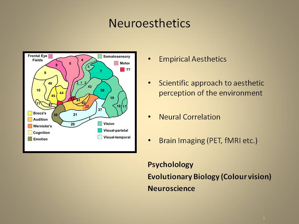 Histories of Fine Art: Ramachandran - Neuroesthetics