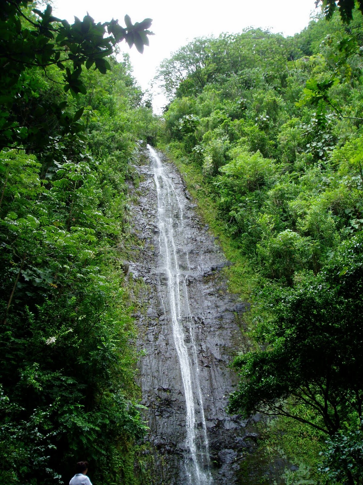 The Feel Flows: Manoa Falls - Oa'hu, Hawaii