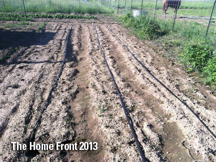 The Home Front: 20 Cheap Tricks Around the Farmstead