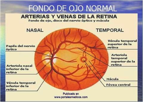 Enfermería Básica UCV : abril 2014