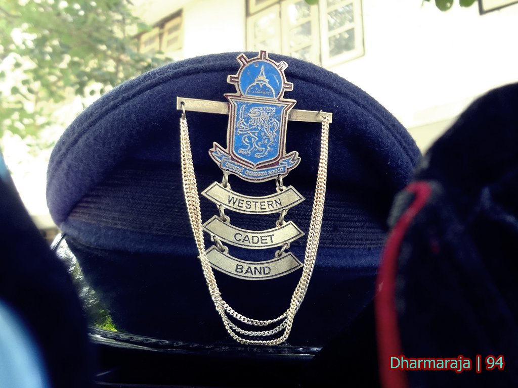 Dharmaraja College Group Of 94: 2016