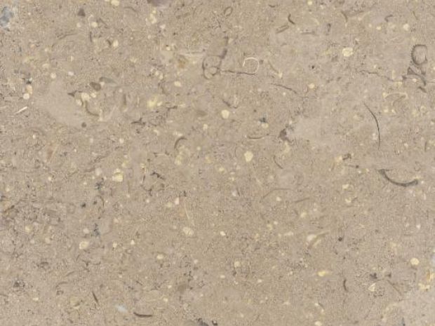 Home and Garden : Triesta Marble