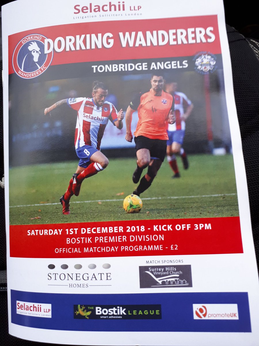 The Tortoise Travels: Dorking Wanderers - Meadowbank