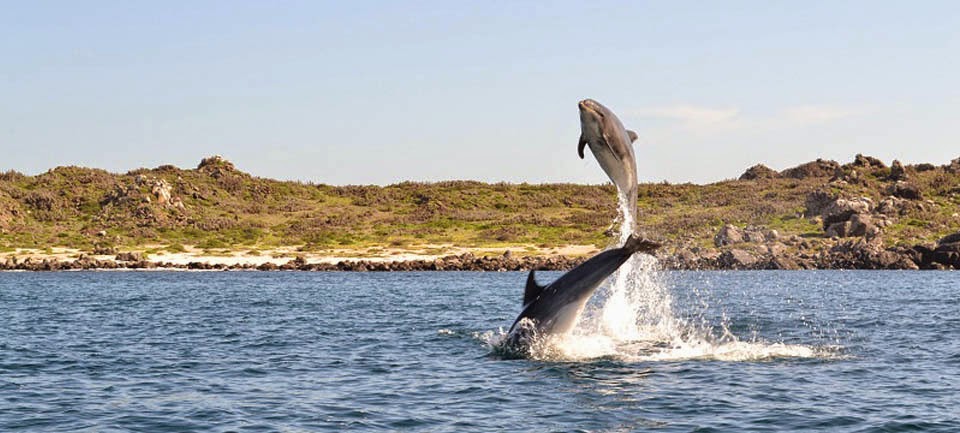 Chile país hermoso.: Punta de Choros.