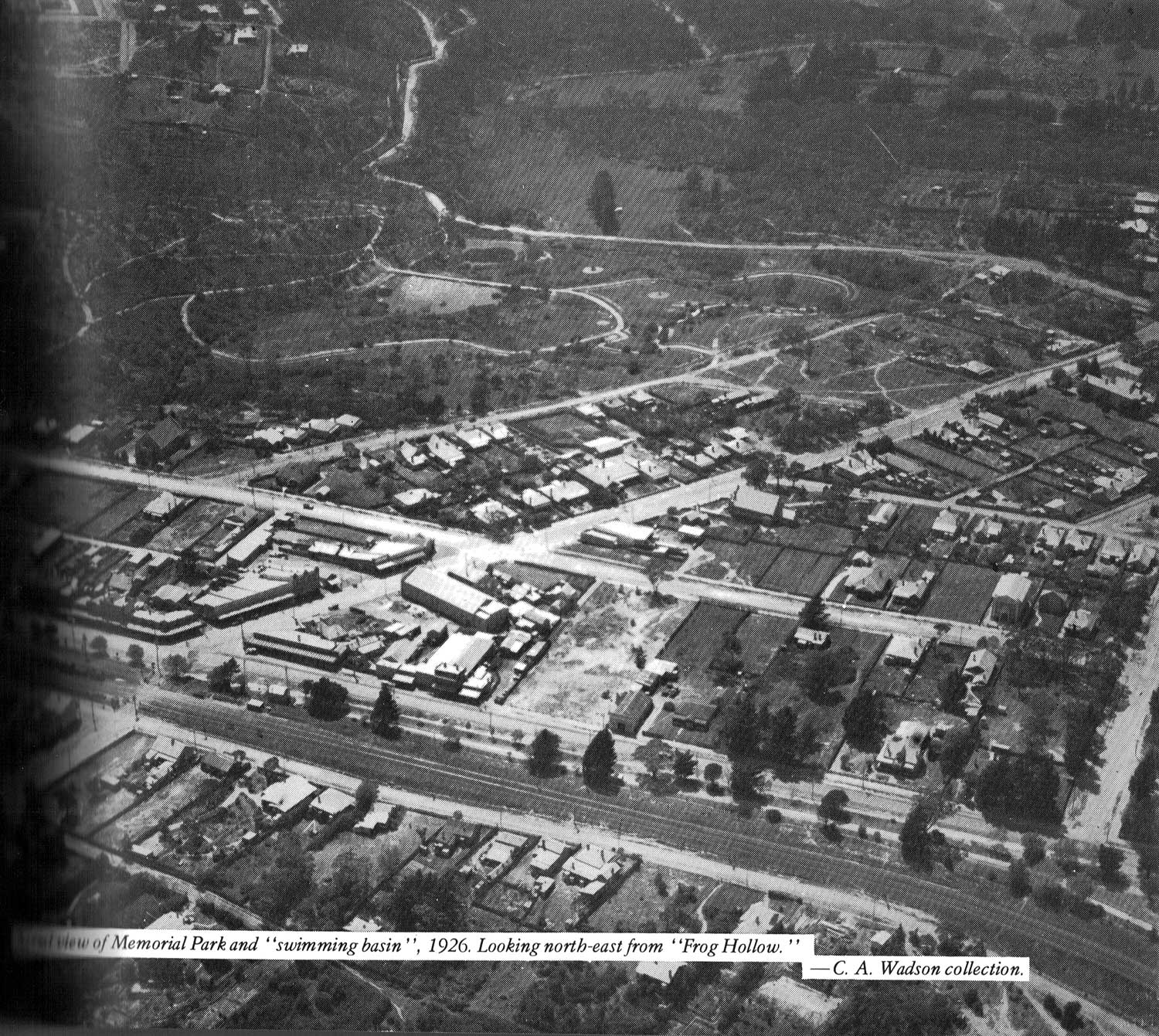 Blackheath Pool: summer swimming since 1931