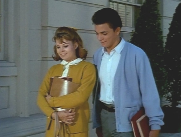 The Brady Bunch Blog: Cissy Davis at Westdale High