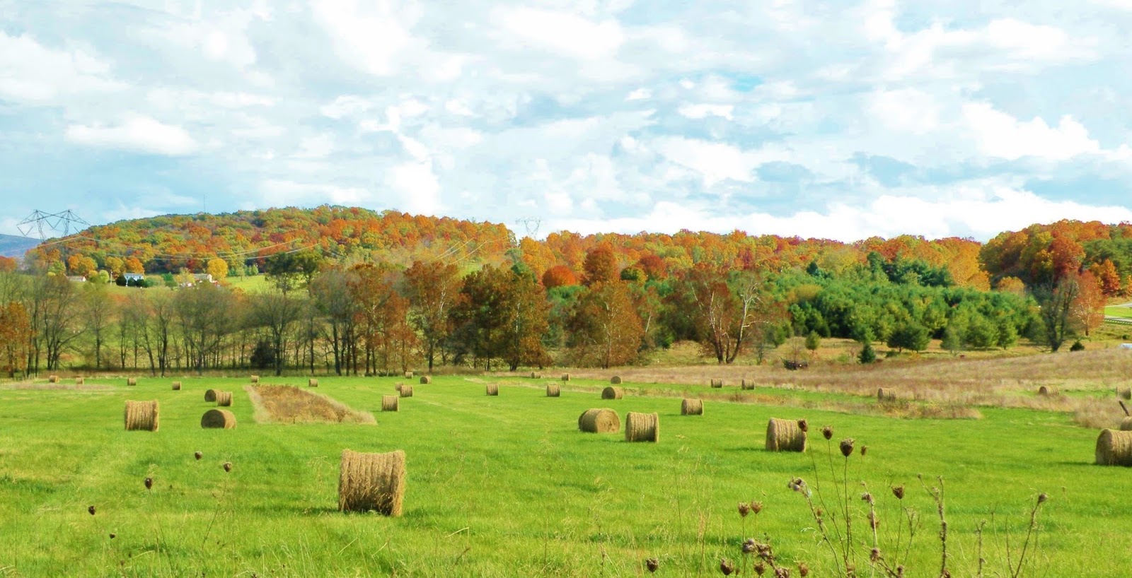 Let Your Light Shine: Fall Hay
