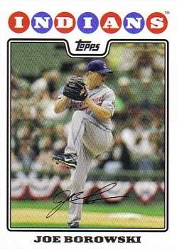 Baseball Cards Come to Life!: Player Profile: Joe Borowski