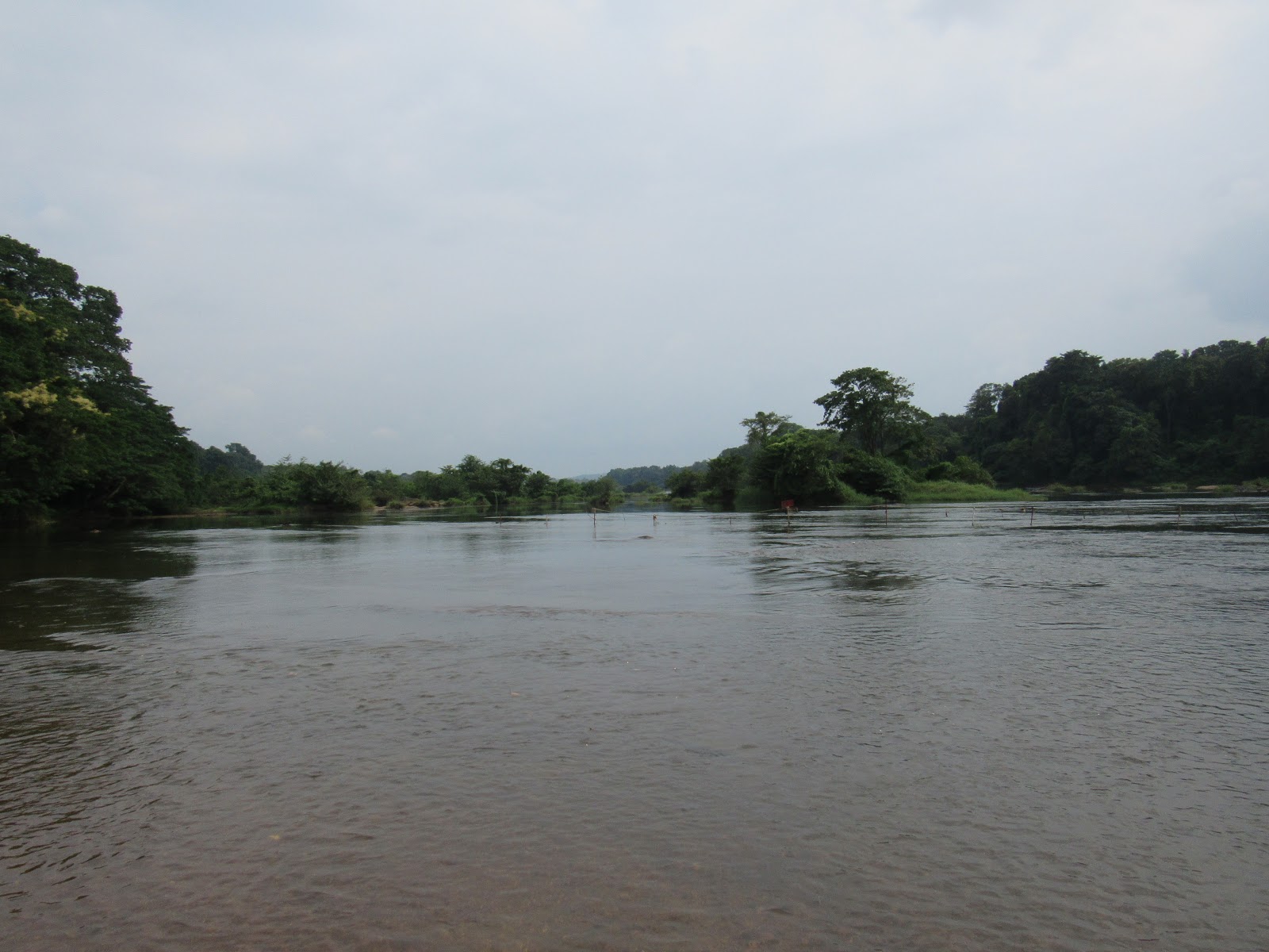 KERALA: AN ODYSSEY: THE PERIYAR RIVER