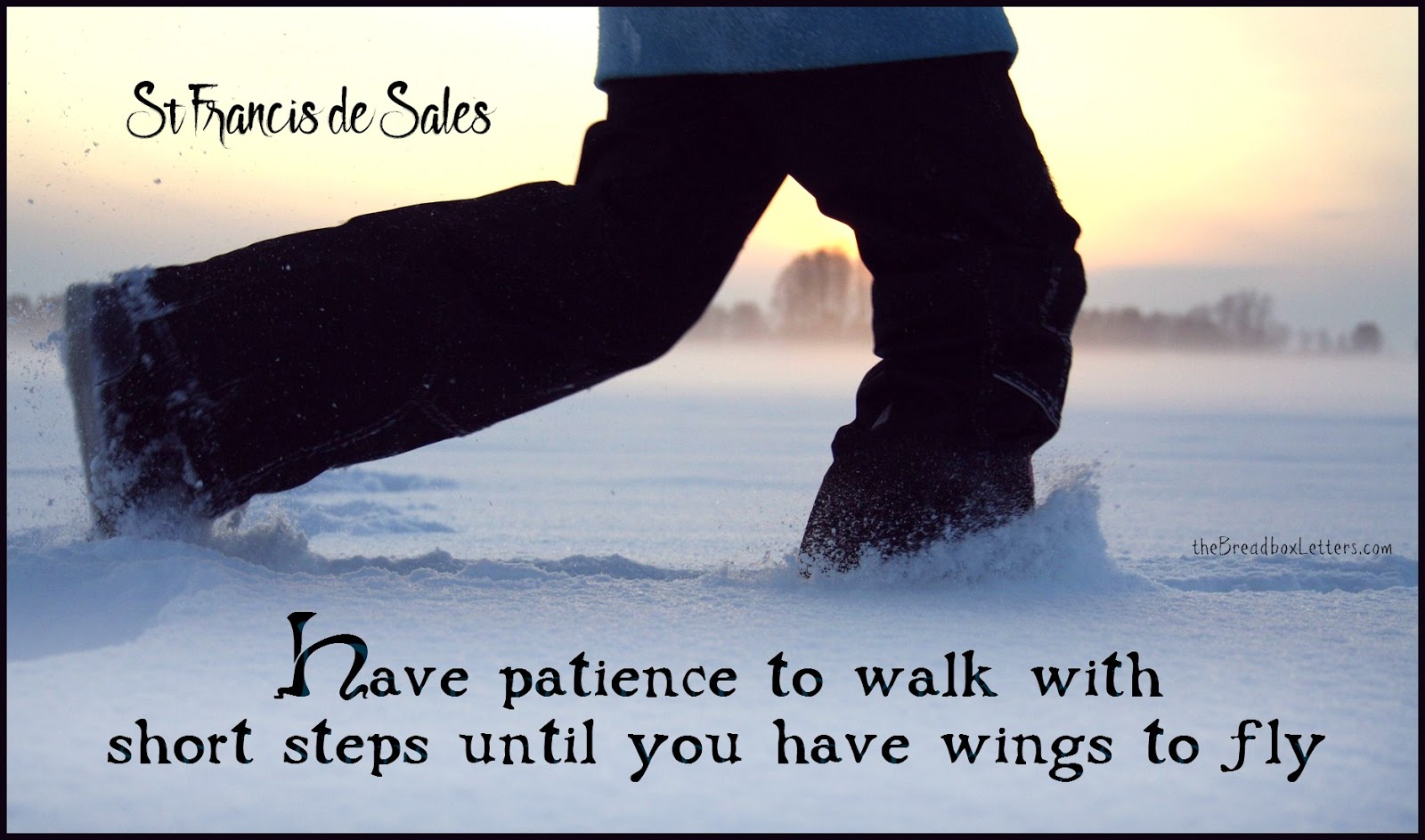 The Breadbox Letters: Patience for Short Steps