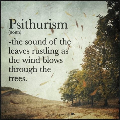 Elaina's Writing World: Psithurism