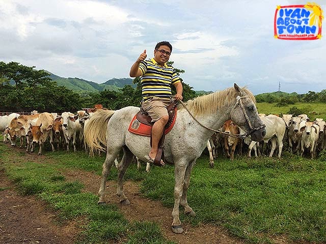 Ranch tourism in Masbate: Be a ranchero for a day! Holy cow! | Ivan ...