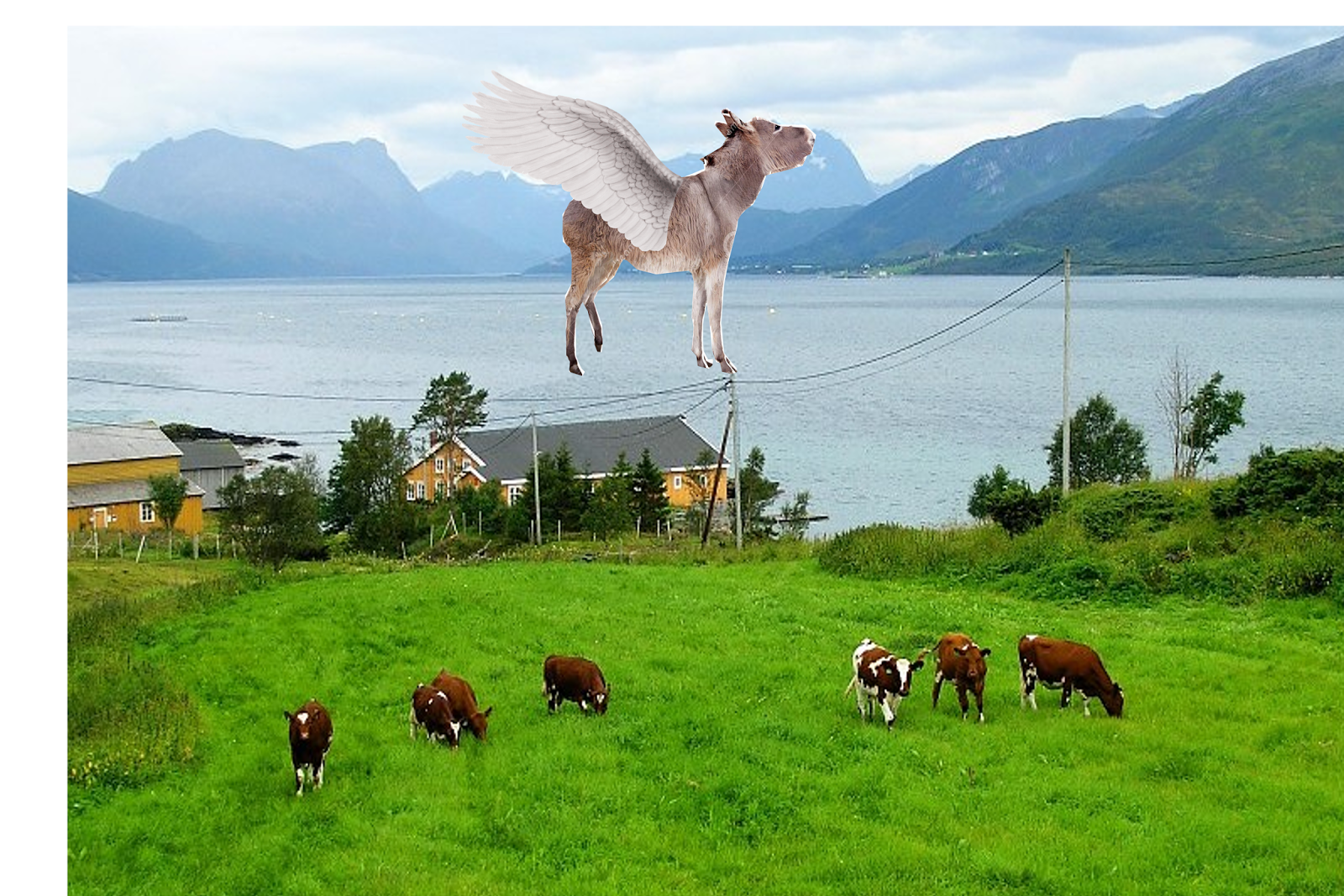 alex-gamer2001.blogspot.com: actividad 3: un burro volando