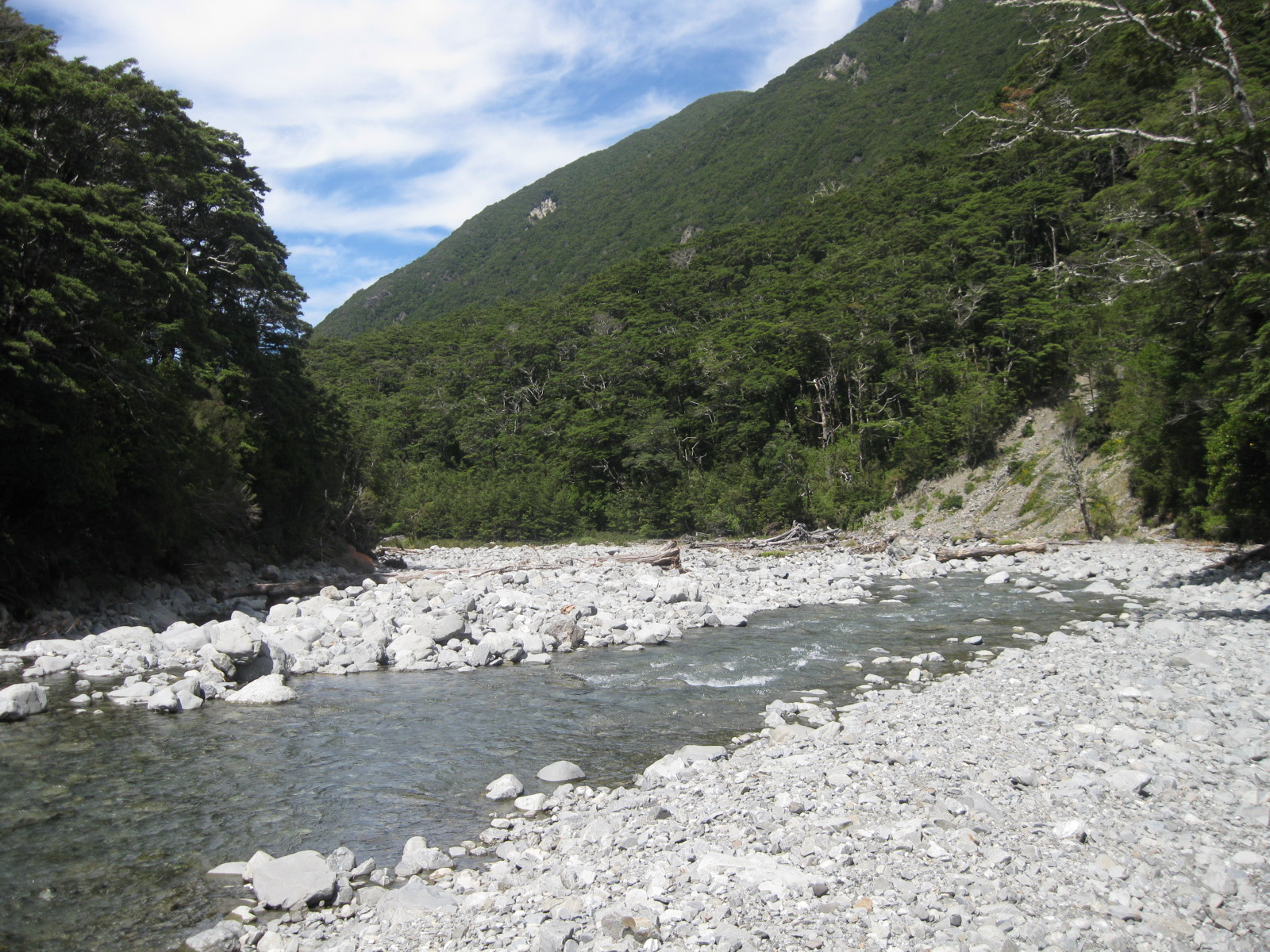 Tramping in the New Zealand backcountry: NZ Bush Adventures: East Hawdon