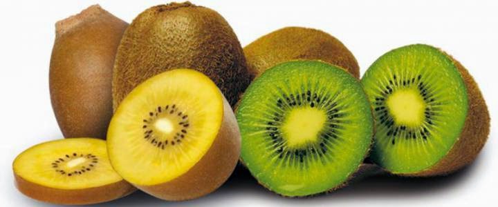 Khasiat dan Manfaat Buah Kiwi ~ Sahabat Informasi