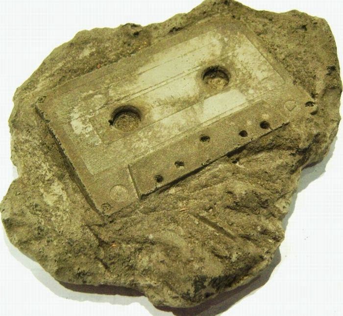 Fresh & Cool Pics: Modern Fossils by Christopher Locke