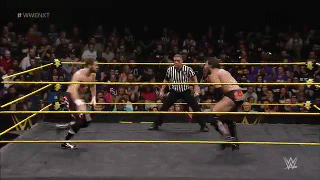 Alex Riley (2015 Return) ♔ Explosive Wrestling Gifs