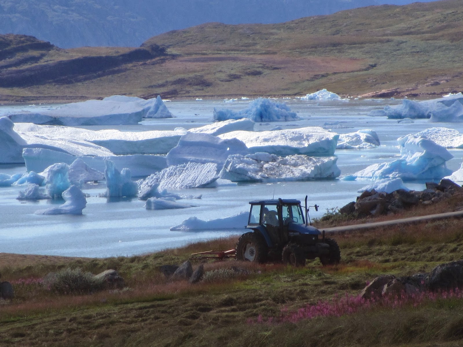 SUL NA GRONELÂNDIA - Trekking e trilhos desde Narsarsuaq