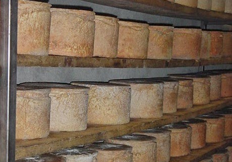 Turin Epicurean Capital: Castelmagno DOP