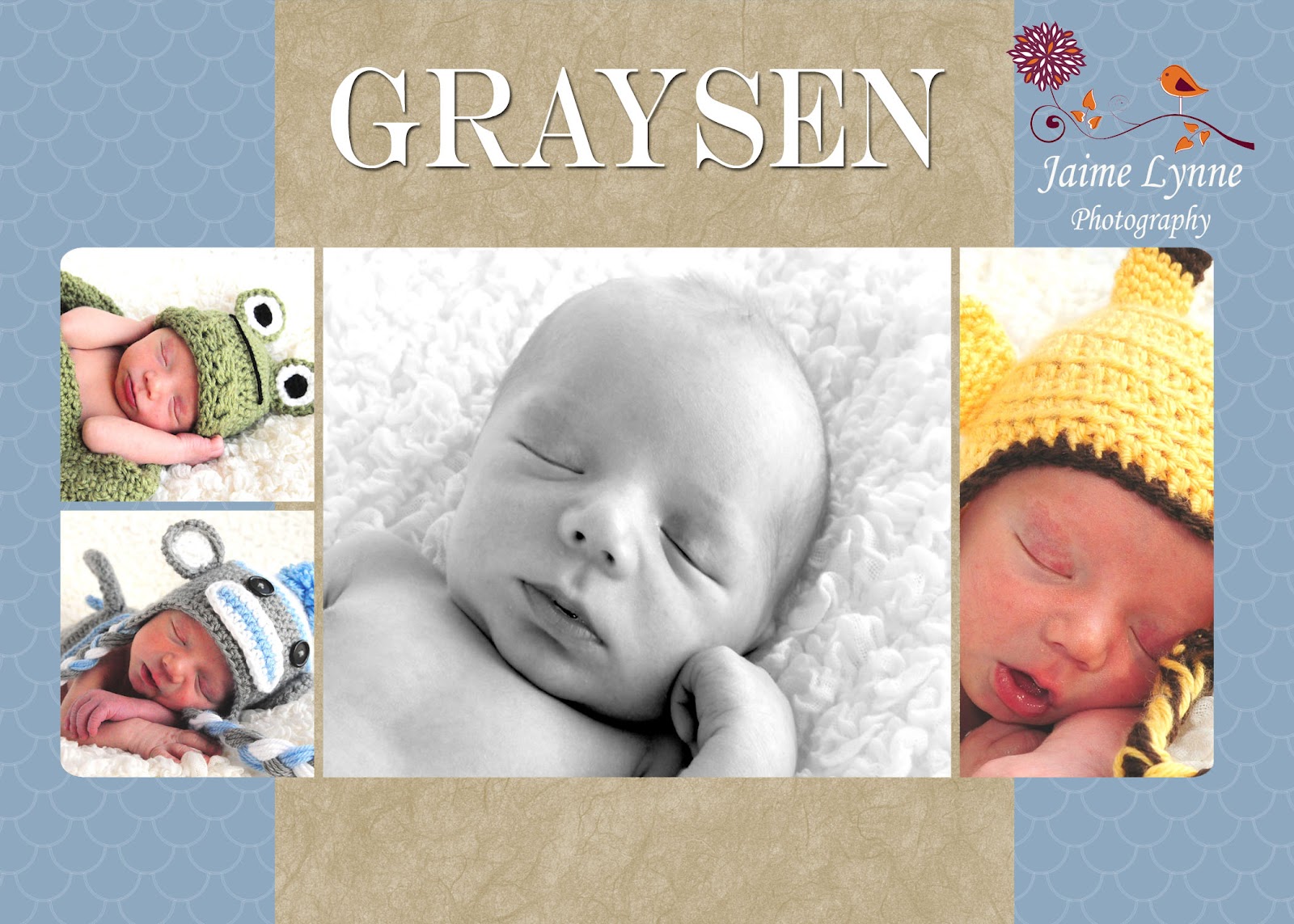 Jaime Lynne Photography: Baby Graysen : Colorado Springs Newborn ...