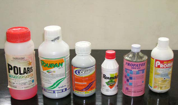 Pestisida | detiktani.com