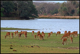 Munger Directory: home