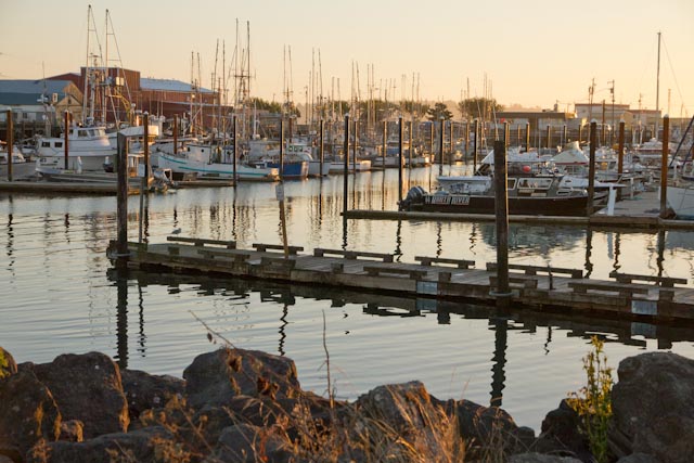 Ridgeway Heights: Evening Sun at Garibaldi Boat Docks