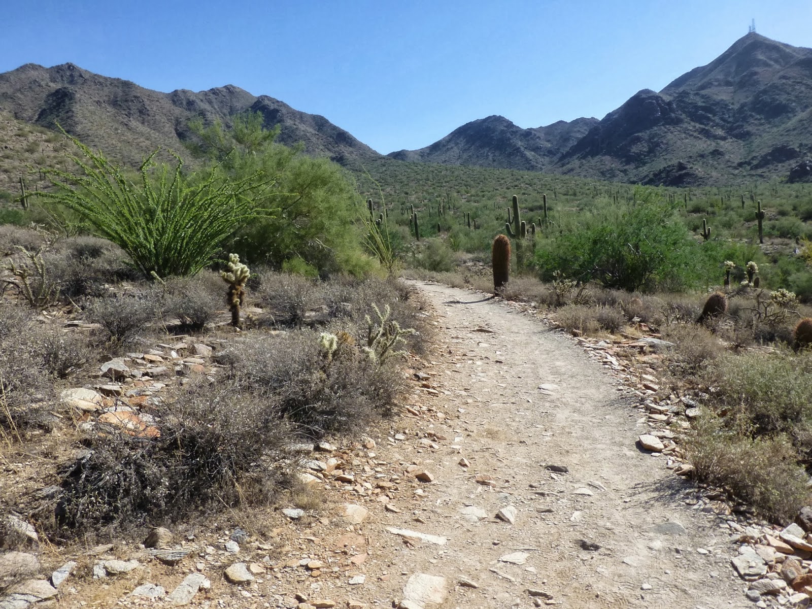 Hundewanderer.com: Hiking: McDowell Sonoran Preserve, Gateway Loop Trail