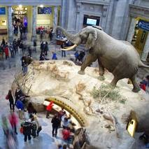 Science in DC: DC Science Museums