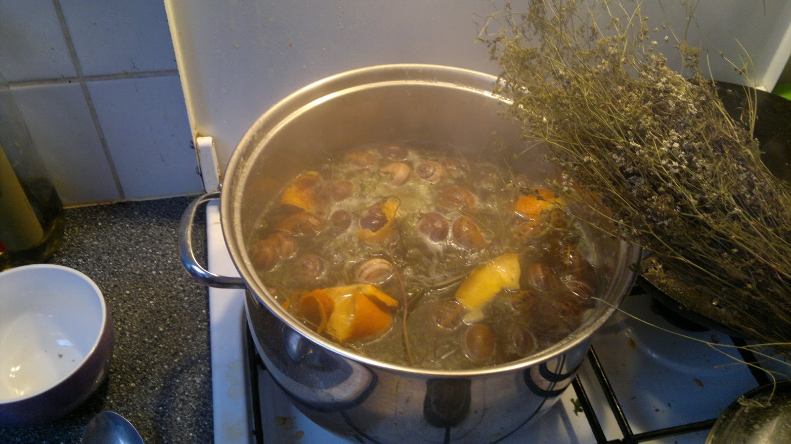 Thuisonderwijs: Baboucha