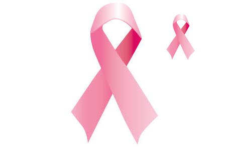 Listón rosado en vector | Vectores | Vectores gratis | VectorFolio