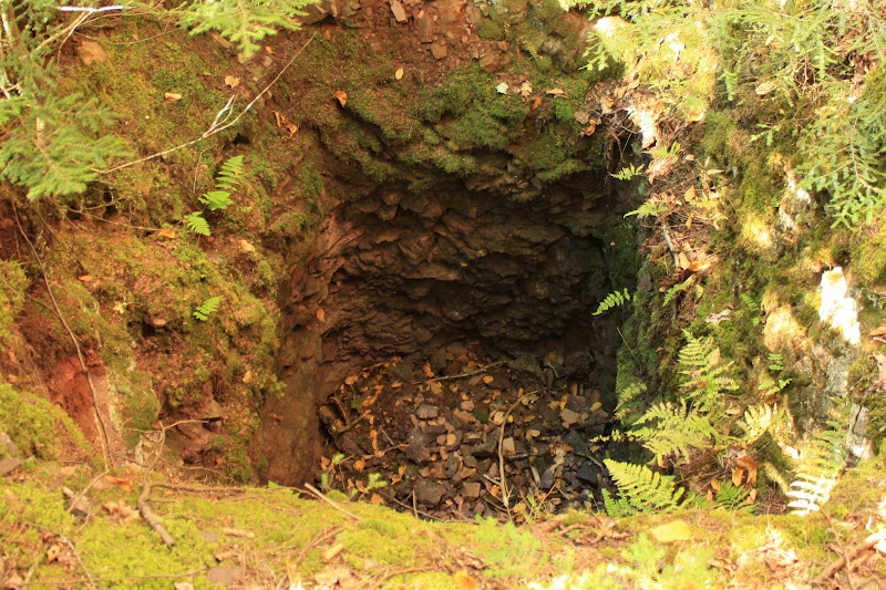 Nomadic Newfies: Union Mine Interpretive Trail