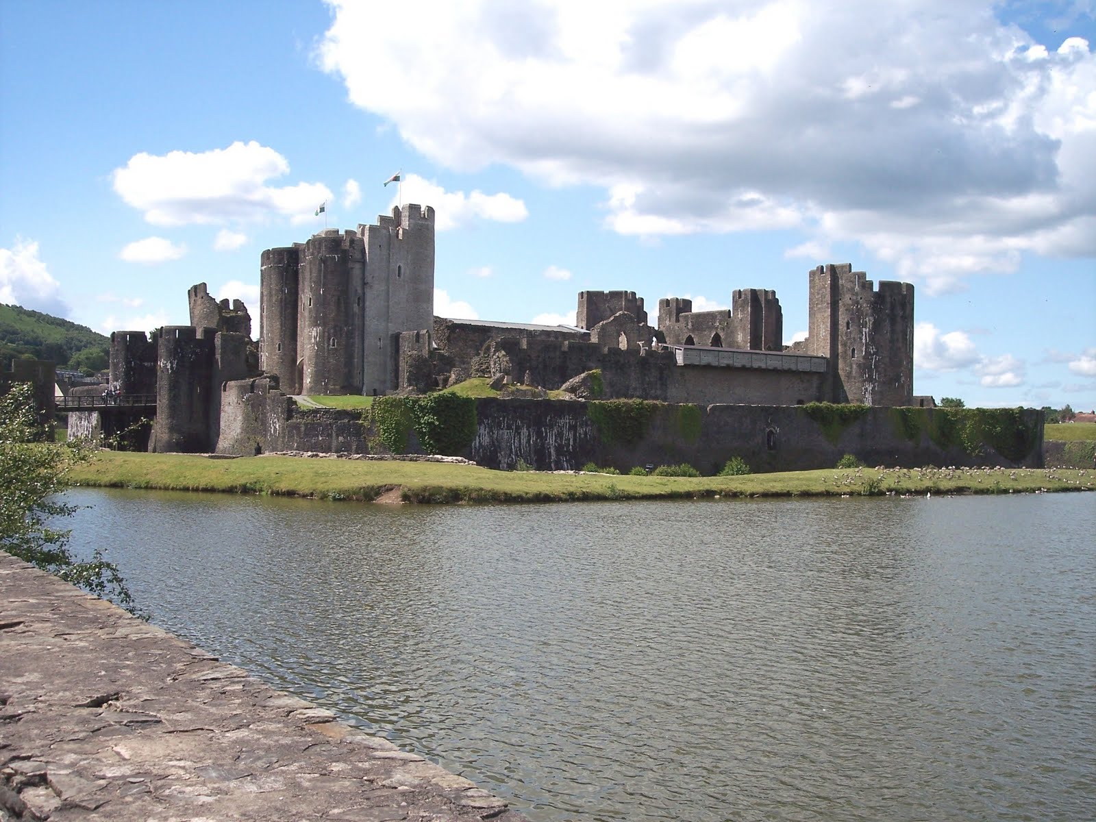 Read-warbler: Caerphilly Castle