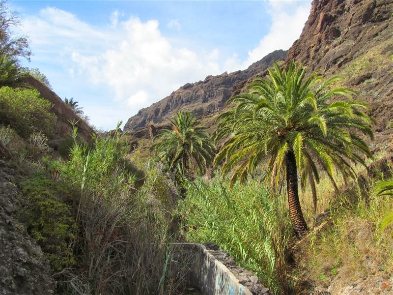 Leo en Marlies: Kloof van Masca, een must voor wandelaars op Tenerife