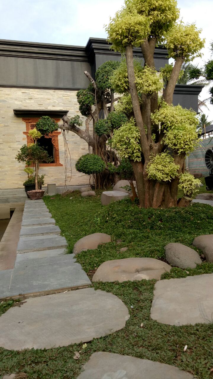 Galeri Foto Batu alam - Batu Andesit - Jual Batu Andesit