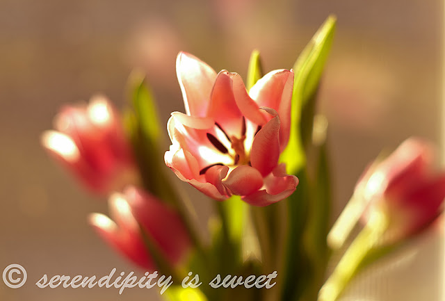 Serendipity is Sweet: Just a Little Something