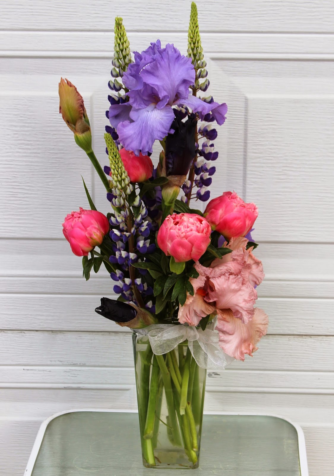 TALL BEARDED IRISES IN SPRING ARRANGEMENTS - Sowing the Seeds