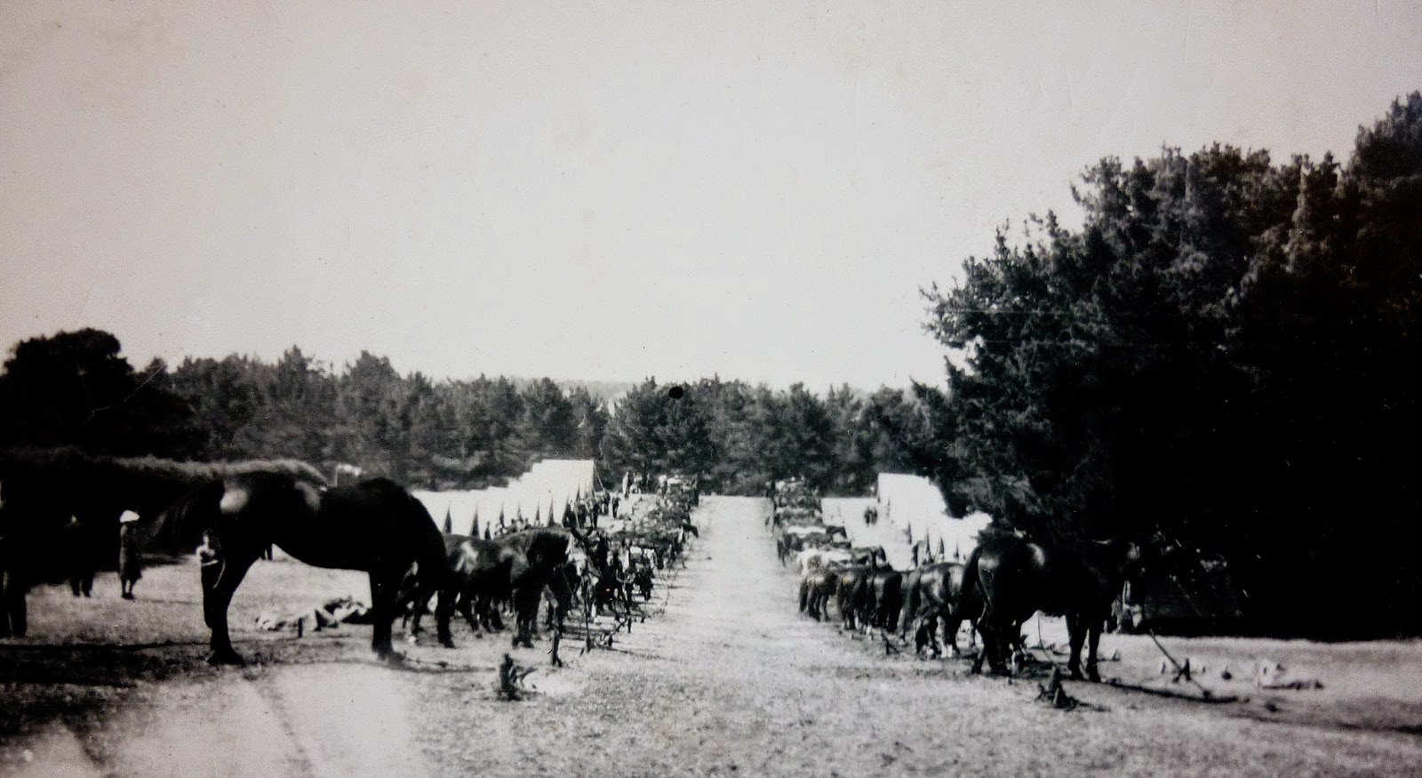 James Greenbank's ANZAC Story