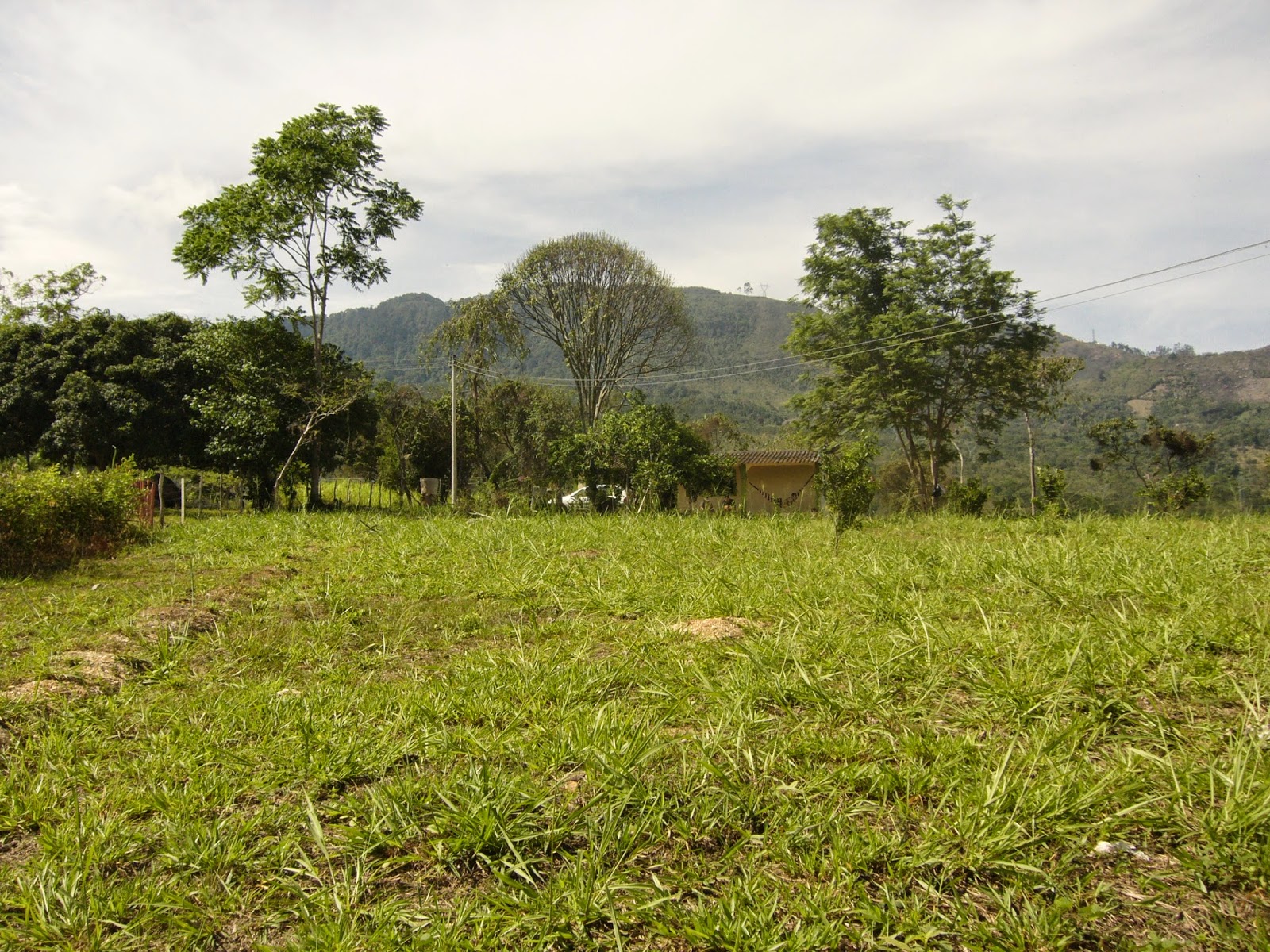 Finca Raiz Familia Feliz: Parcelas en Venta