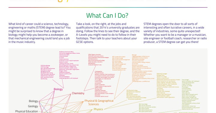Proto-Knowledge: You got a degree in STEM and now what? - An overview ...