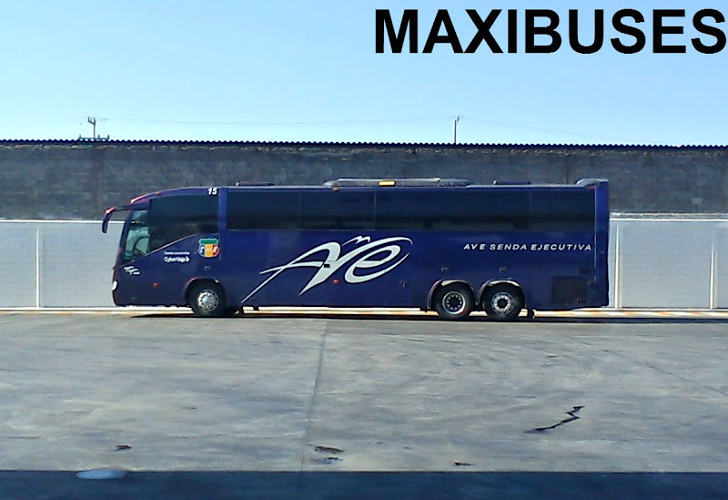 MAXIBUSES: AVE SENDA EJECUTIVA