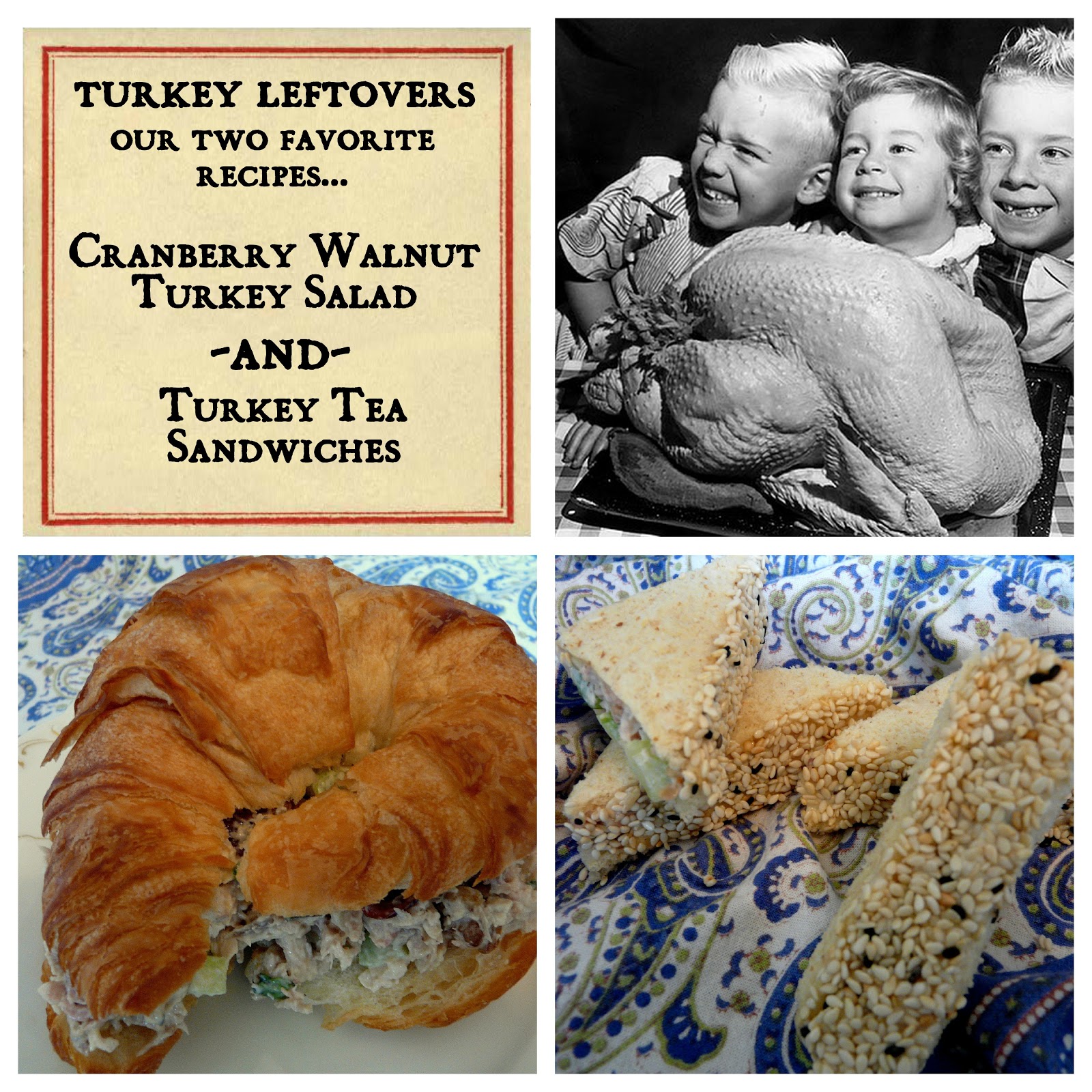 COLD TURKEY ~ THE DAY AFTER THANKSGIVING CONUNDRUM