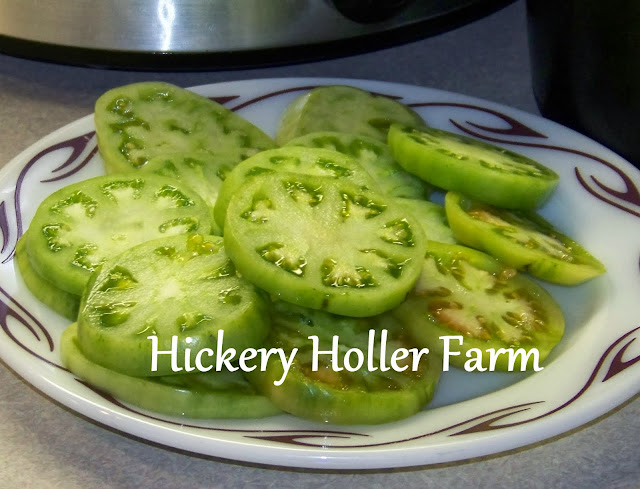 Hickery Holler Farm: First Frost