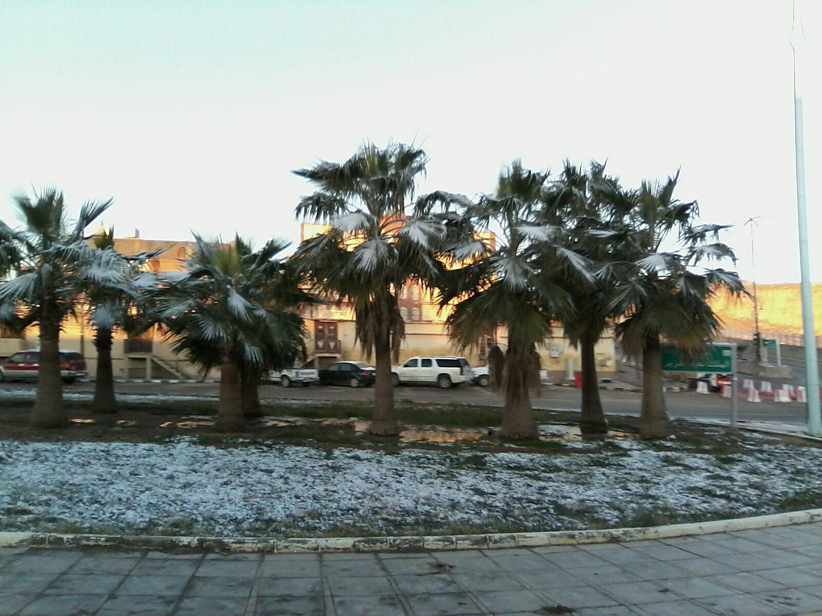 Halimah Nolitha Ndlazi: Snow in Arar City in the Northern Border of ...