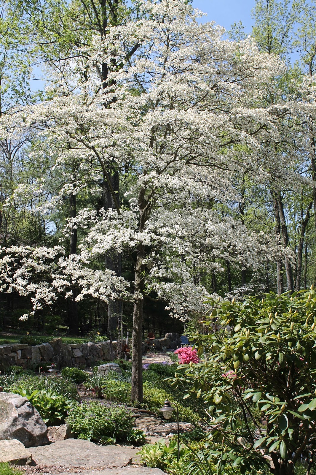 The North End Loft: Friday Finds