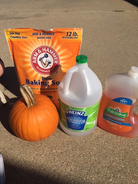 Pumpkin Volcano Science Experiment | Hillary's Teaching Adventures