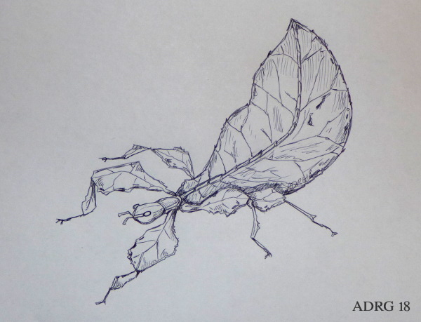 UN AMBIENTALISTA: Bocetos de Naturaleza