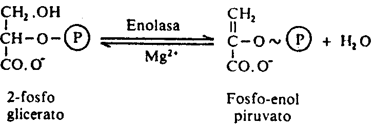 reacciones reversibles e irreversibles: Reacciones Reversibles